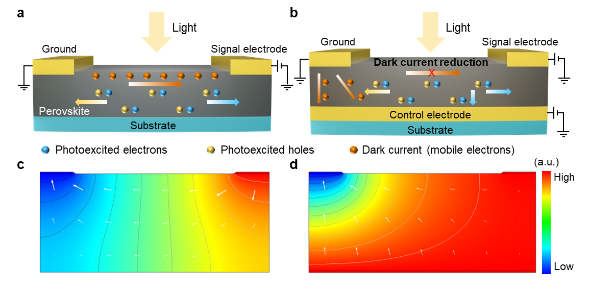 Researchers Improve Flexible Photodetectors Through New Approach
