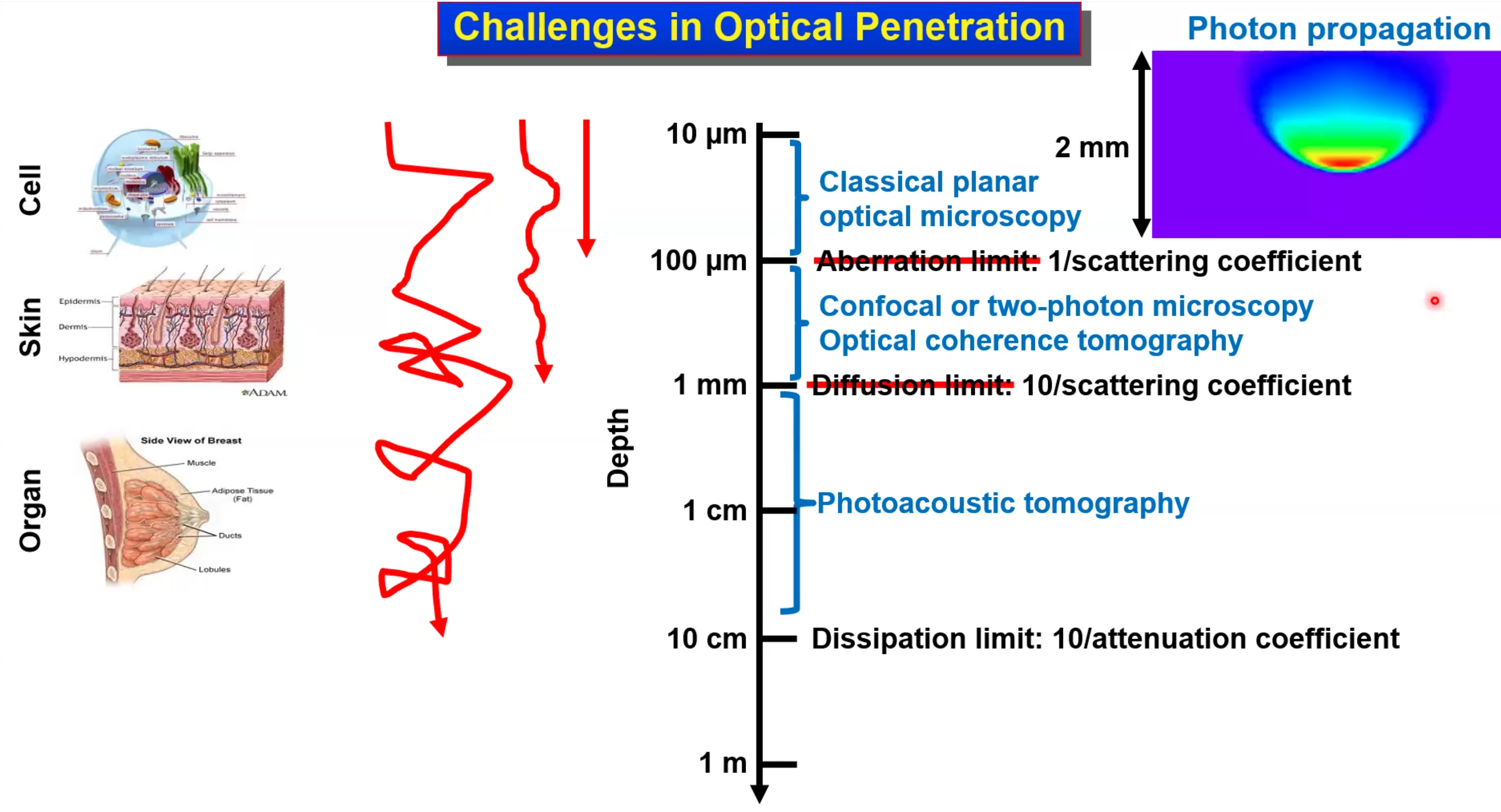 The 5th Yungu Lectureship: Photoacoustics, Lightspeed, and Quantum Imaging