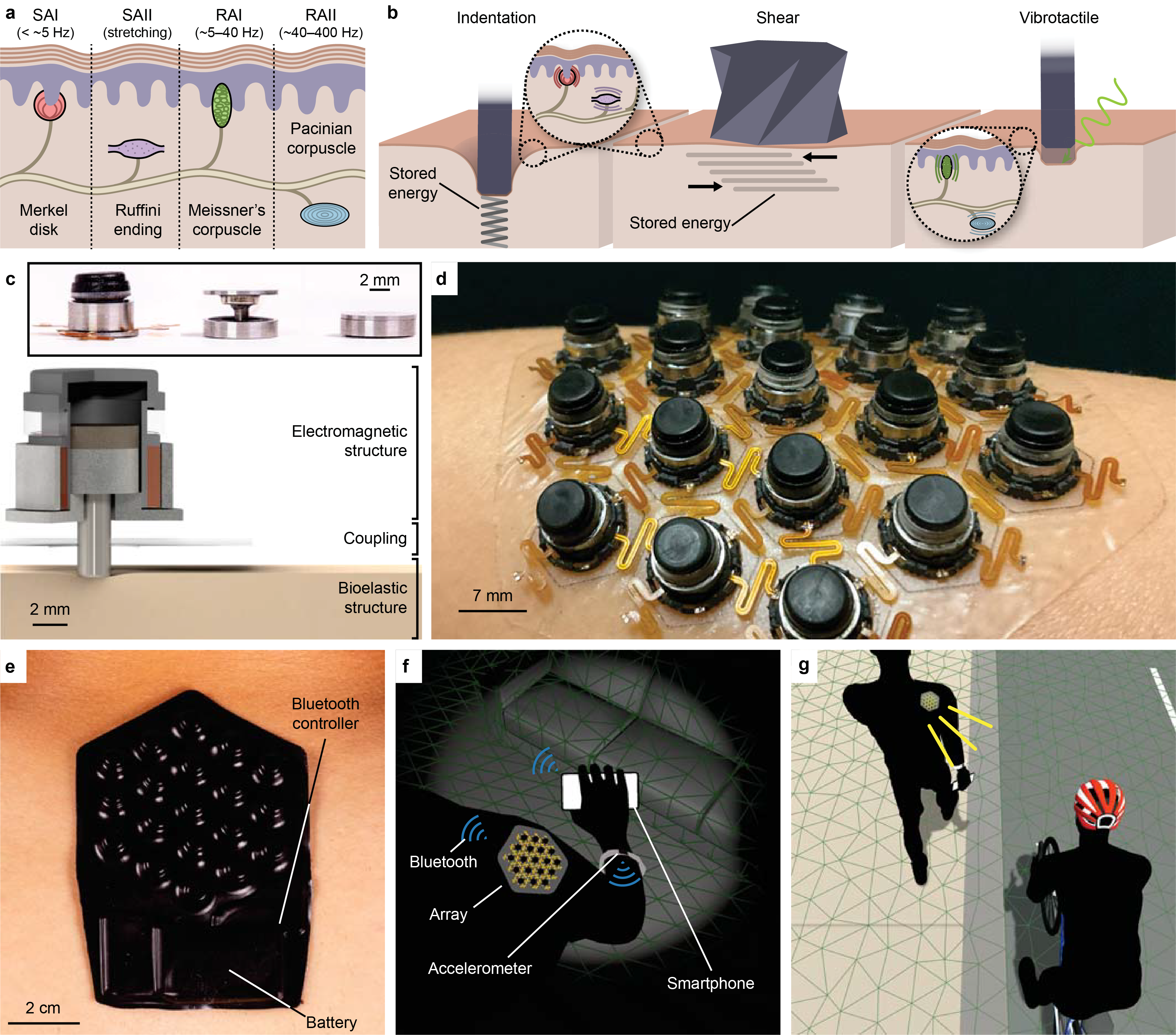 Nature Publishes New Collaborative Research on Haptic Sensory ...